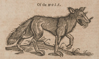 Image | Of the Wolf | ID: rn301229x | Digital Collections